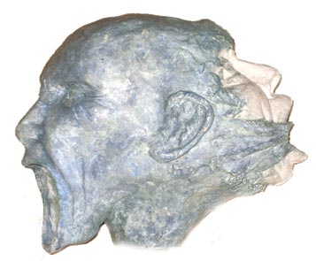 Bio-CV-Compétence - Philippe Payraud